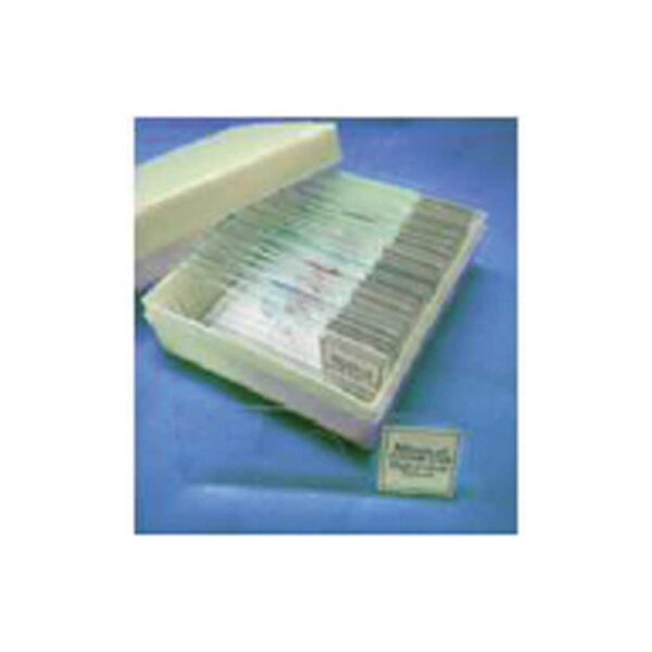 Custom Slide Set, Biology Slide Set - Supertek Scientific