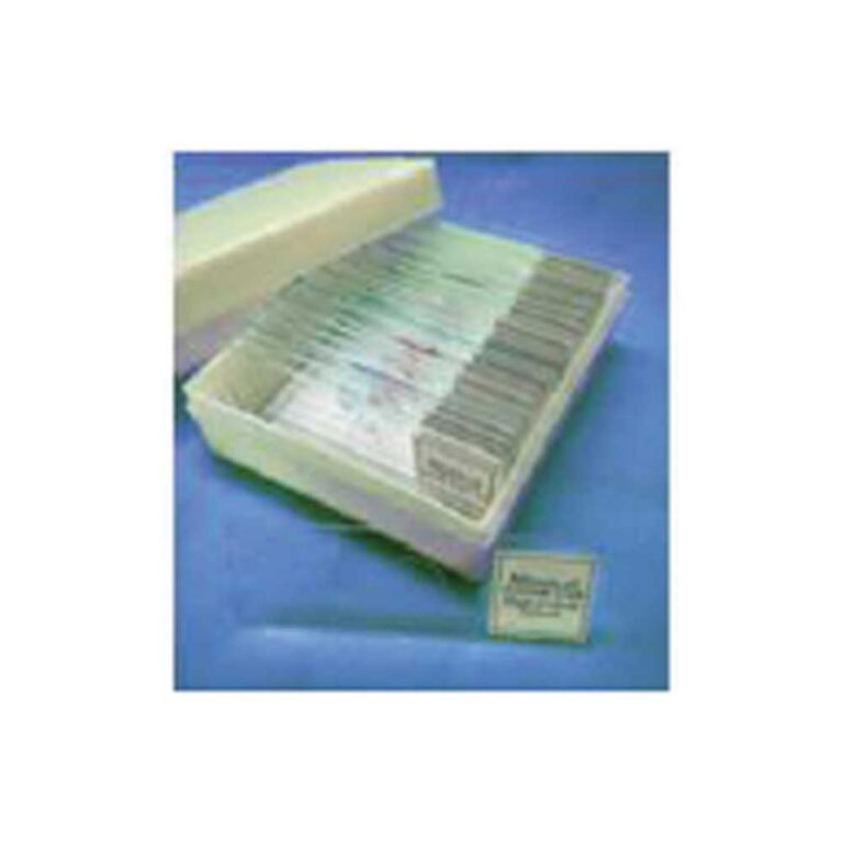 Elementary Microscope Kit - Supertek Scientific