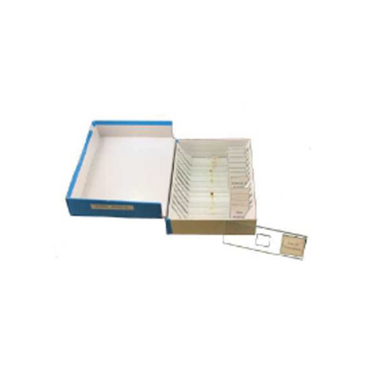 Elementary Microscope Kit - Supertek Scientific